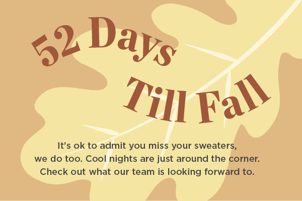 Dat Candy 52 Days Until Fall Here s What Our Team Is Dreaming About 