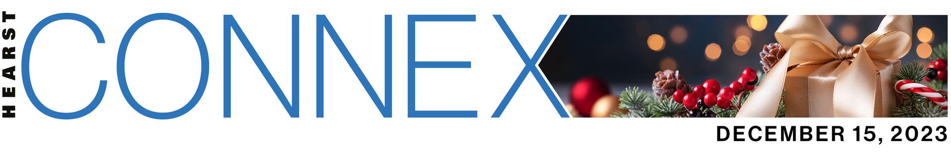 Connex Newsletter header