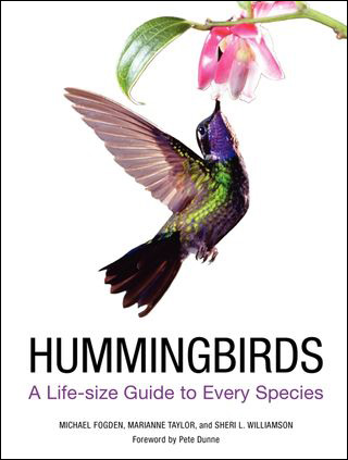 HarperCollins - 10 Great Books about Birding
